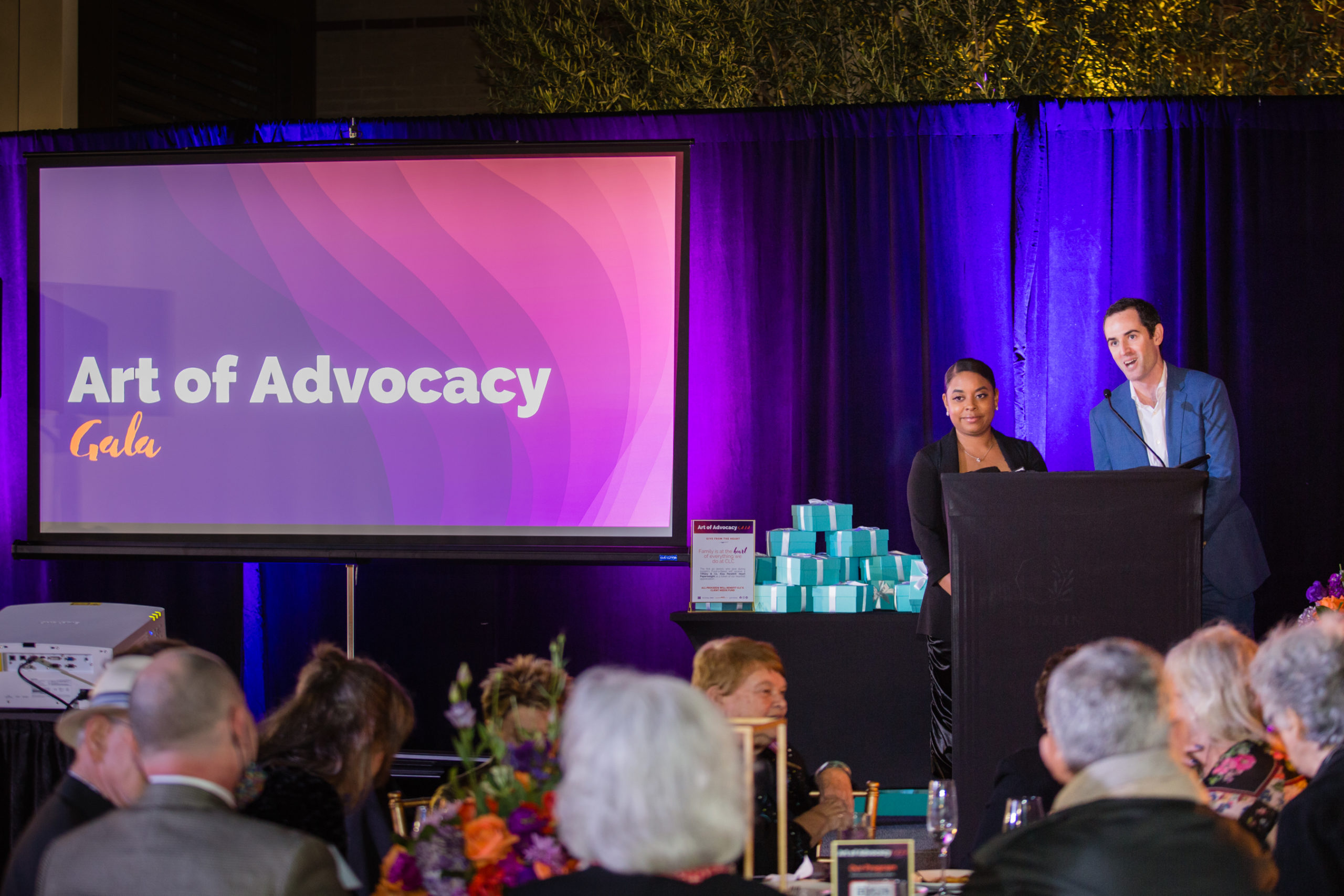 Art of Advocacy Recap! - Children's Law Center of California