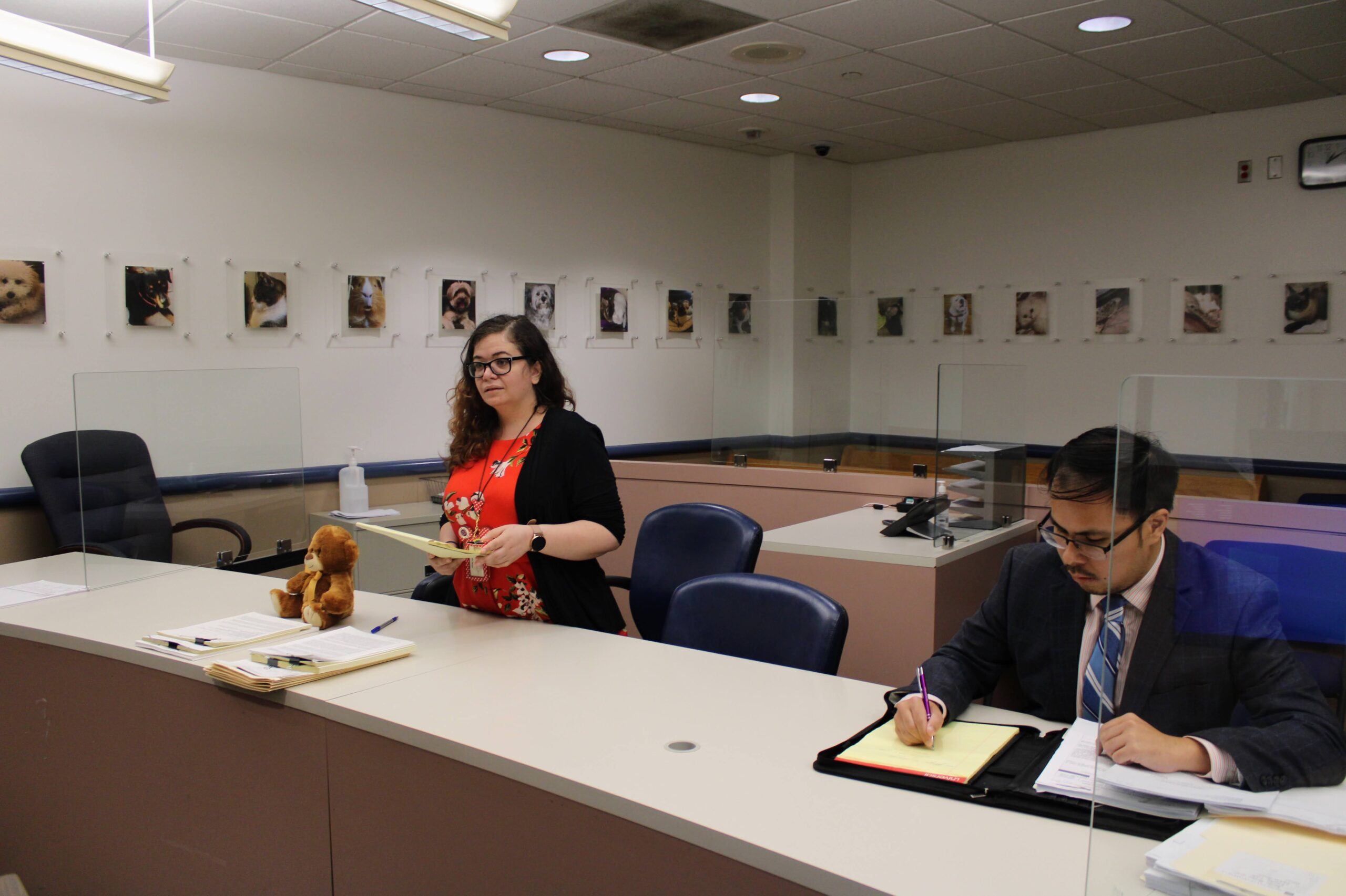 Legal Representation - Children's Law Center of California